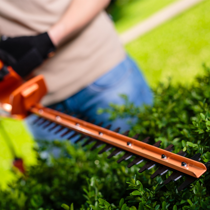 Električni trimeri za živu ogradu | Agromarket
