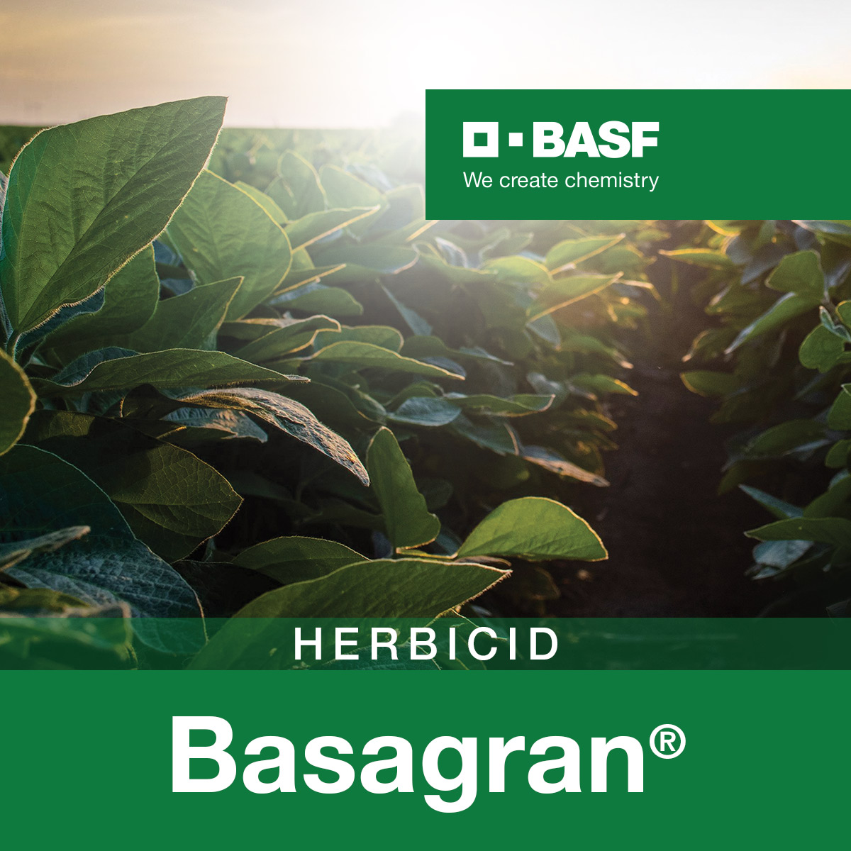 Basagran 1 l | Agromarket