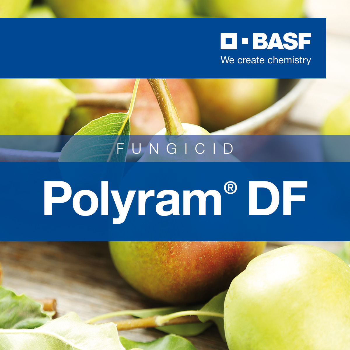 Polyram DF 1 kg | Agromarket