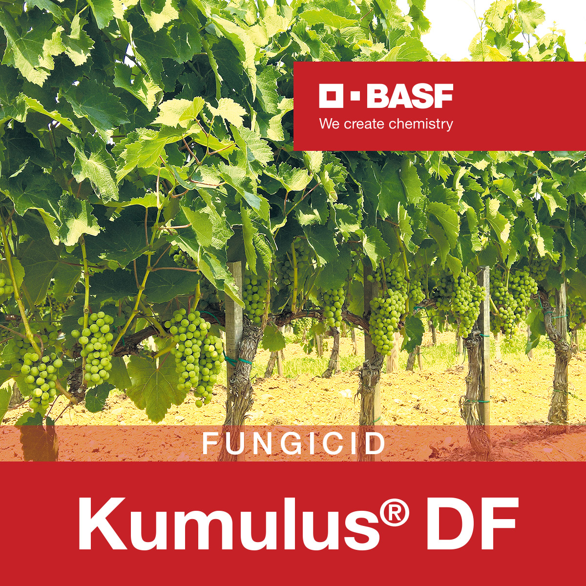 Kumulus DF 1 kg | Agromarket