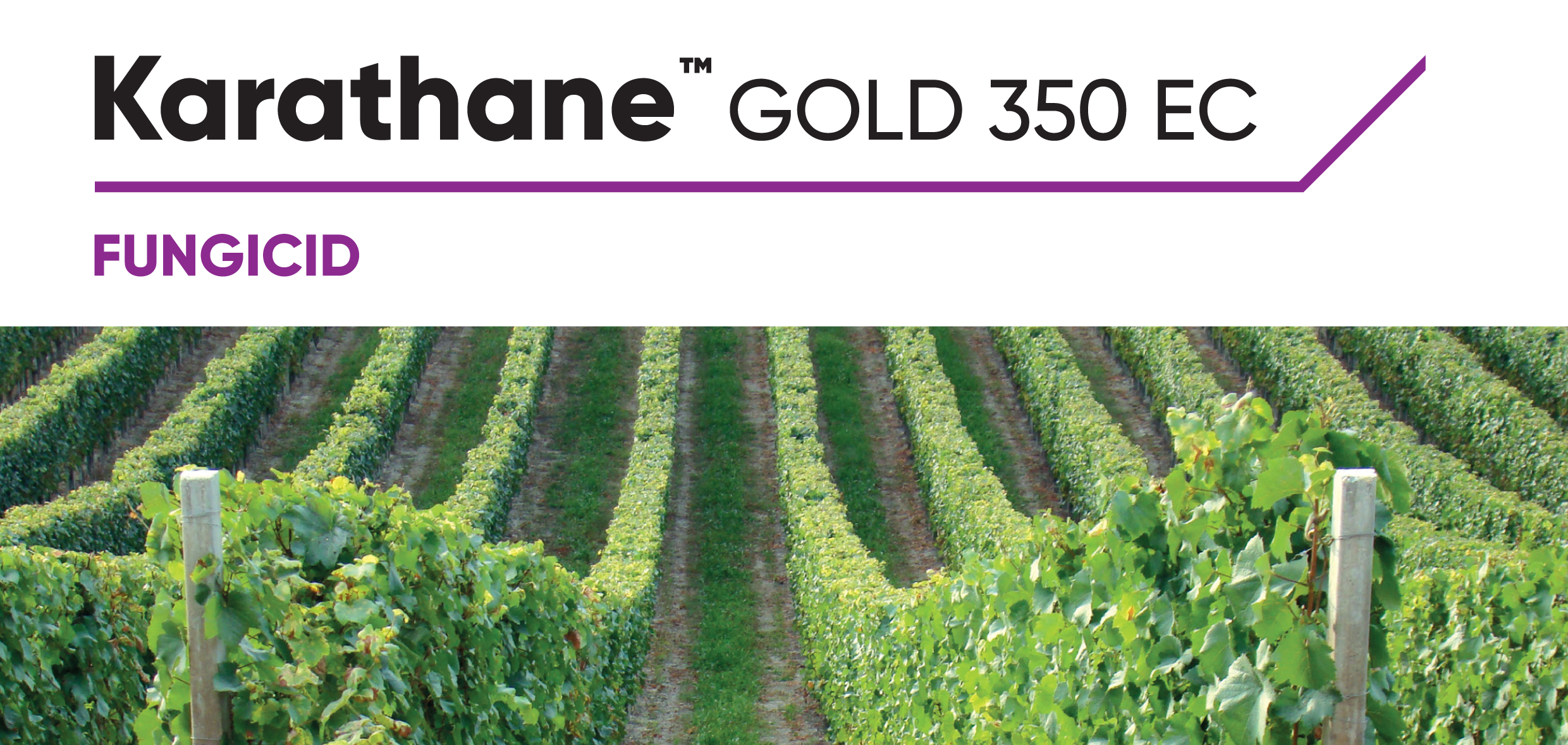 Karathane gold 350 EC 50 ml | Agromarket