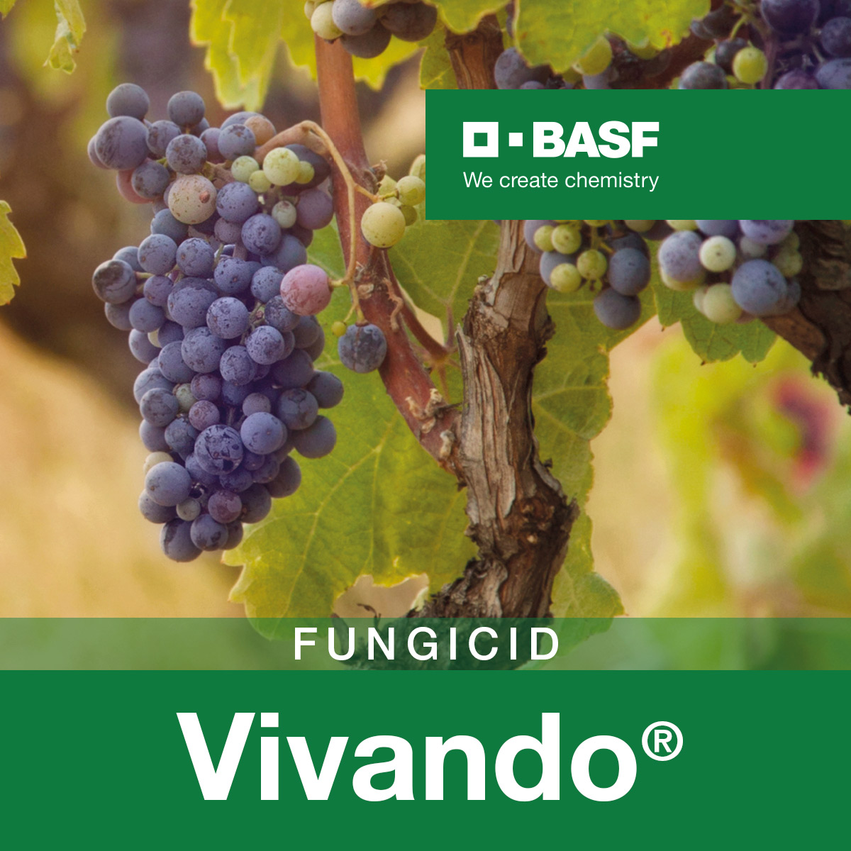Vivando 100 ml | Agromarket