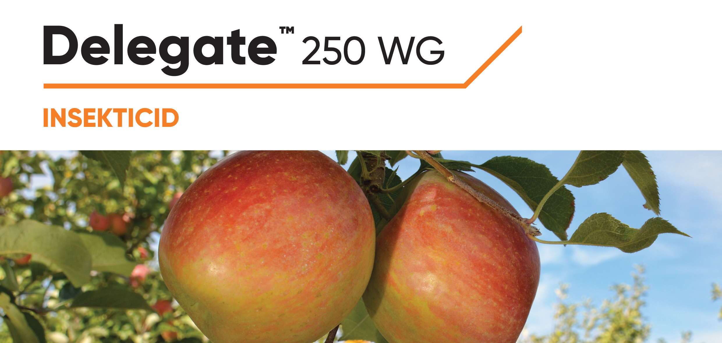 Delegate 250 WG 250 g | Agromarket