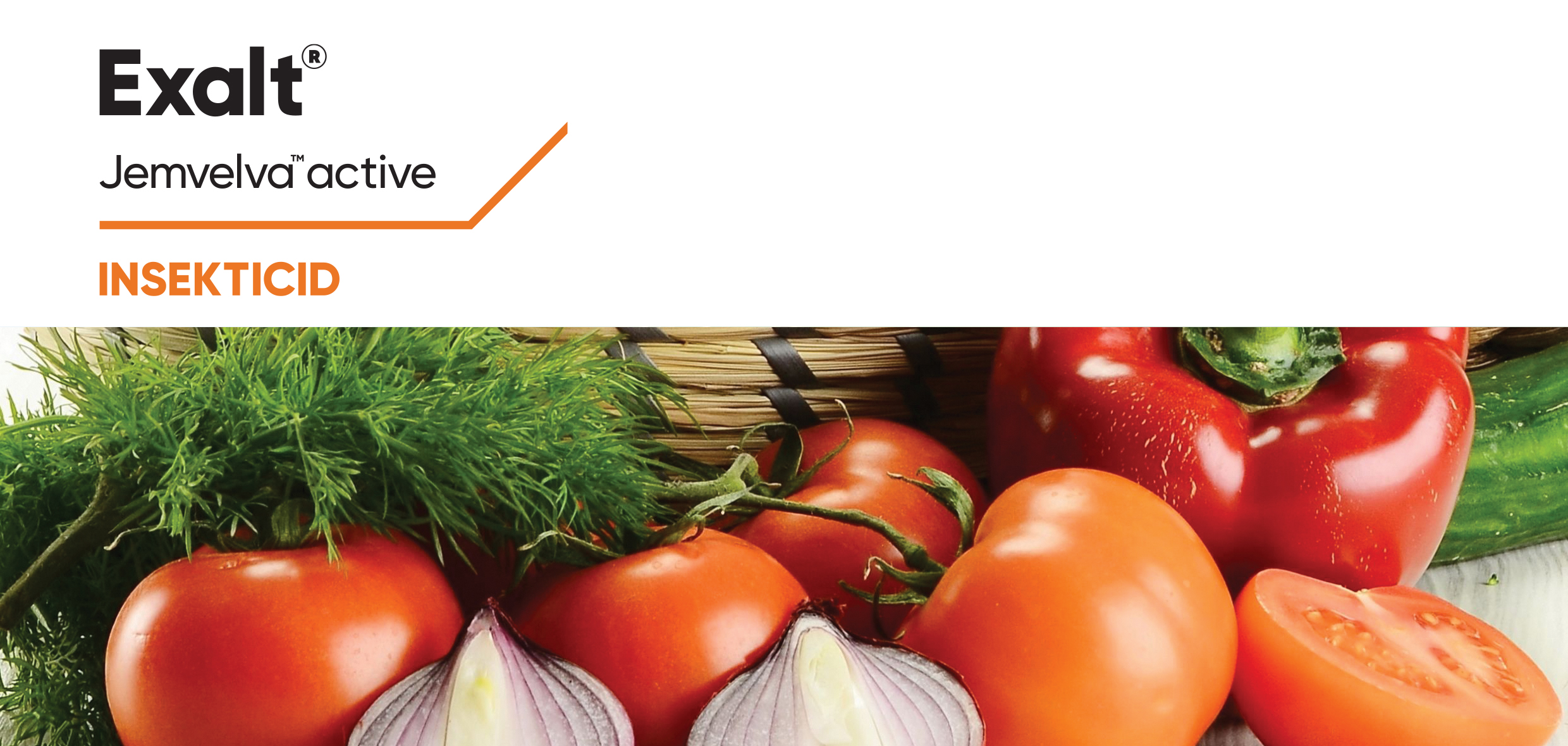 Exalt 1 l | Agromarket