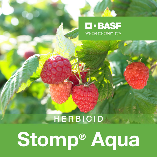 Stomp aqua 1 l | Agromarket