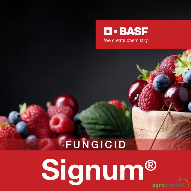 Signum 100 g | Agromarket